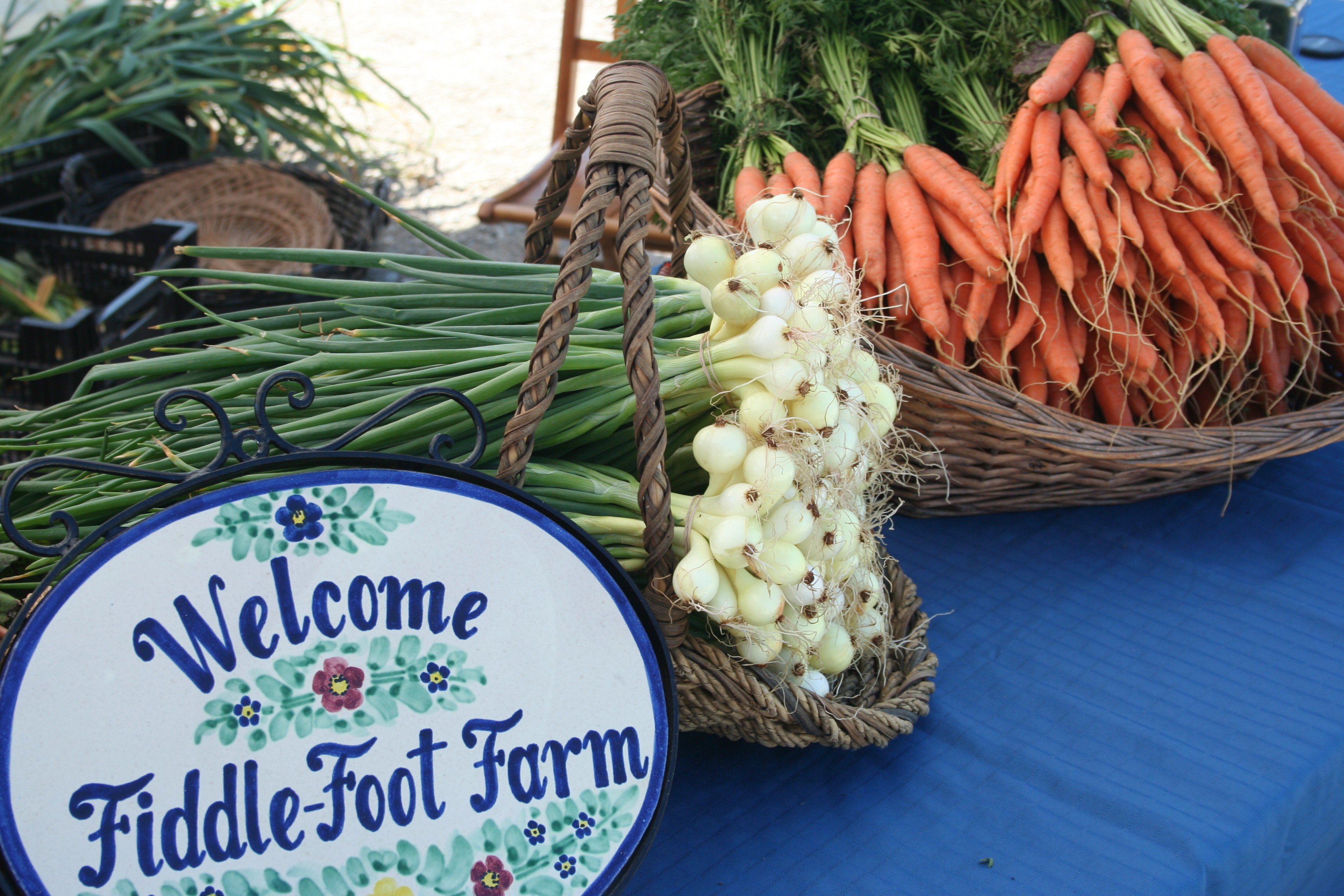 About – Fiddle Foot Farm