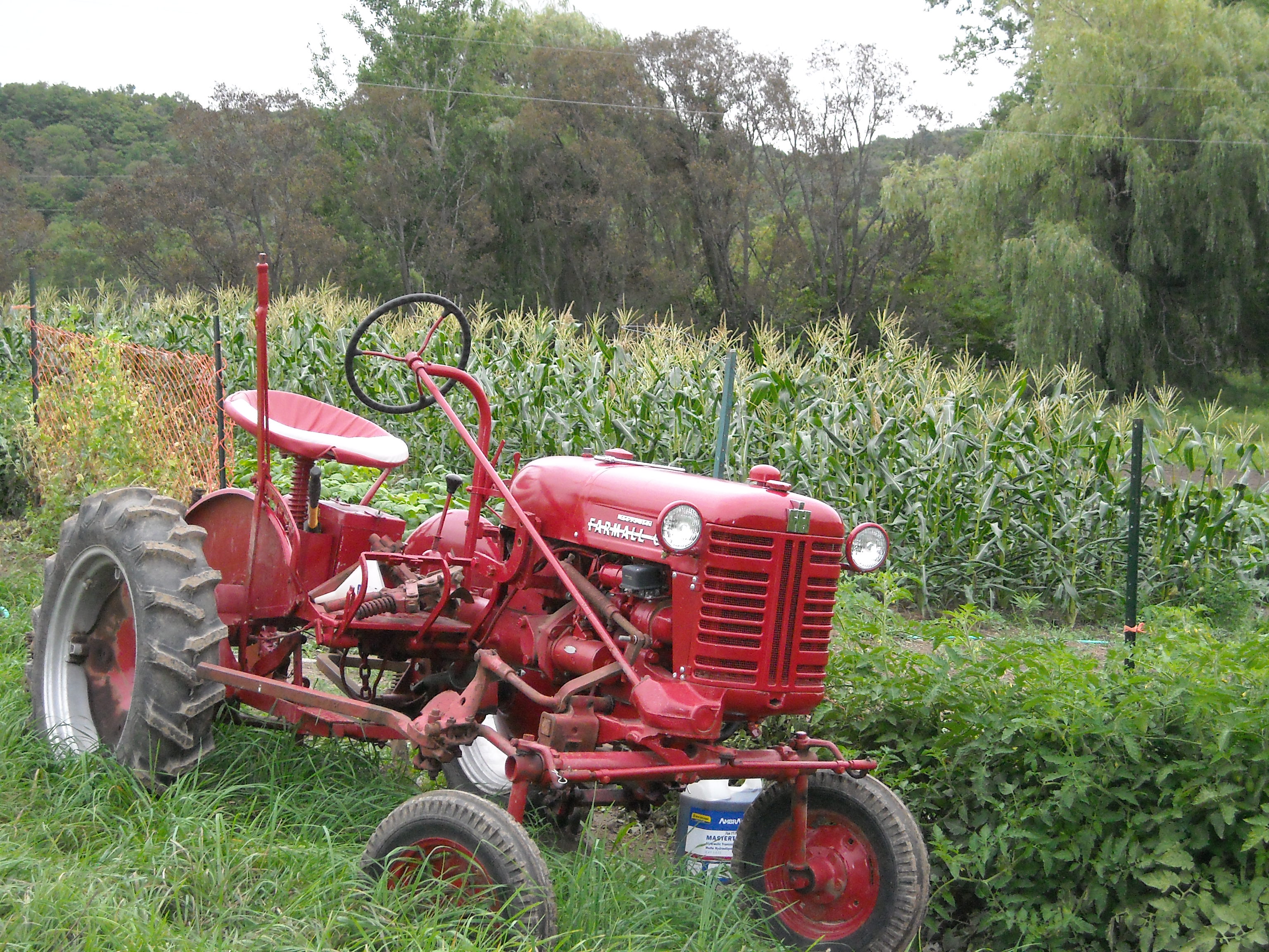 Who Are We? – Fiddle Foot Farm