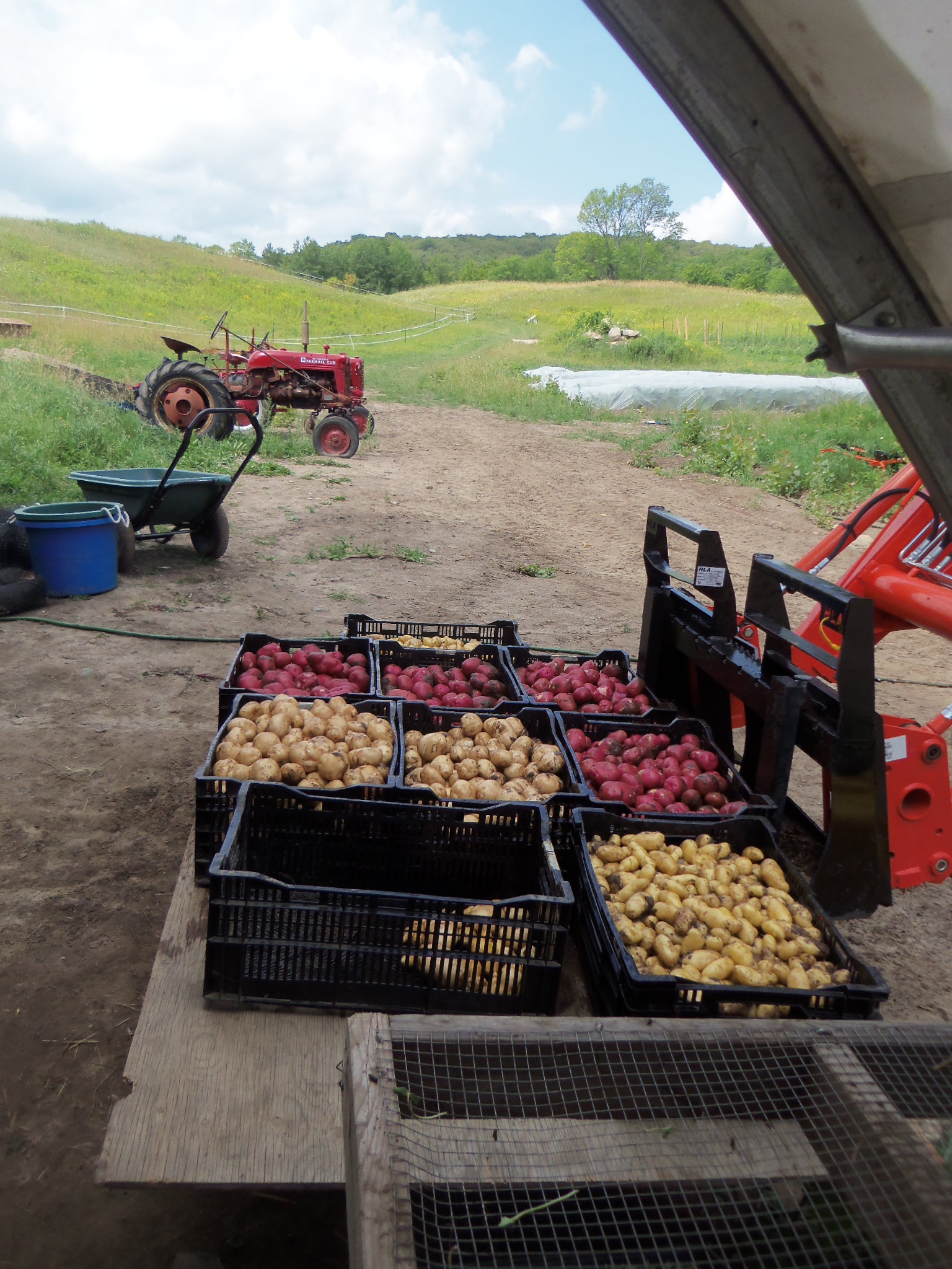 181 – Fiddle Foot Farm